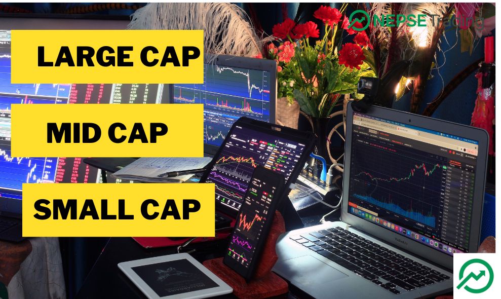 What are large cap, mid cap, and small cap in the stock market ...